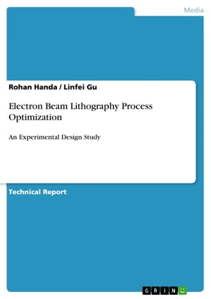 Electron Beam Lithography Process Optimization - Librerías Gandhi