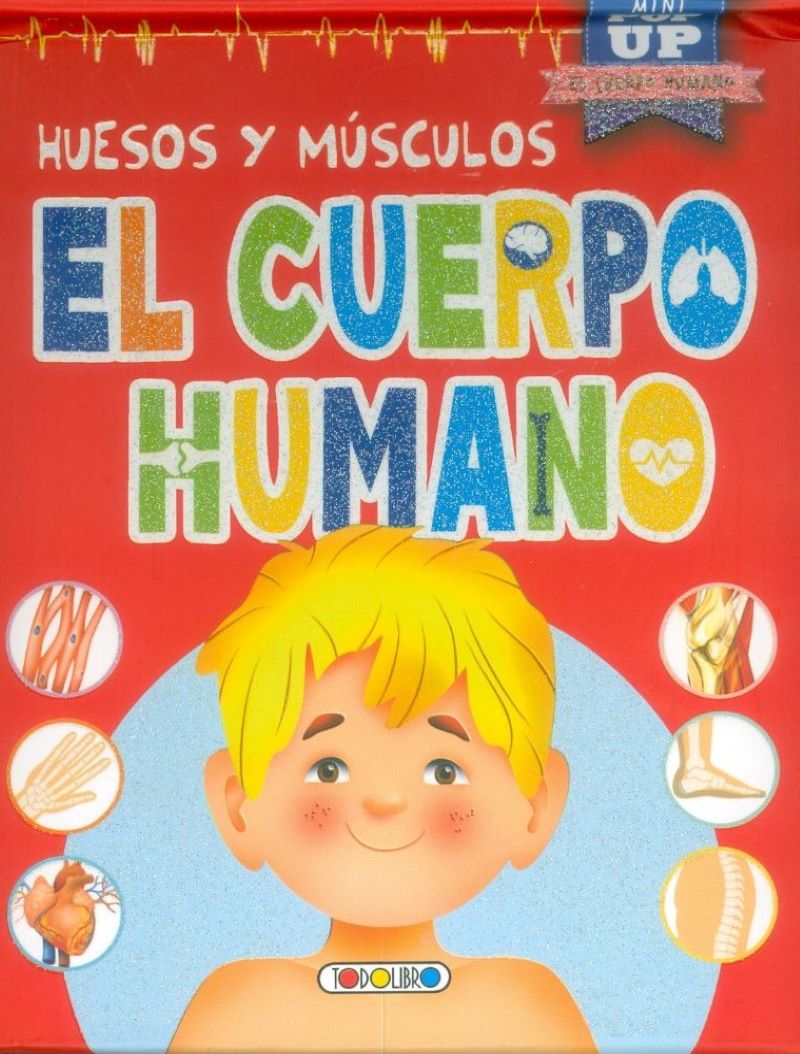 Mini Pop Up El Cuerpo Humano Huesos Y Músculos Gandhi