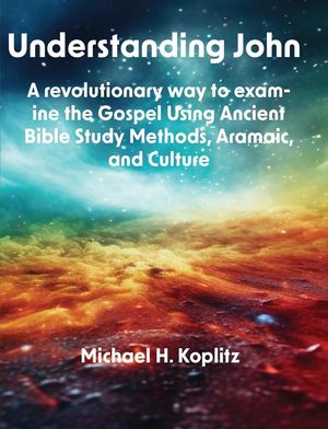 Understanding John - Librerías Gandhi