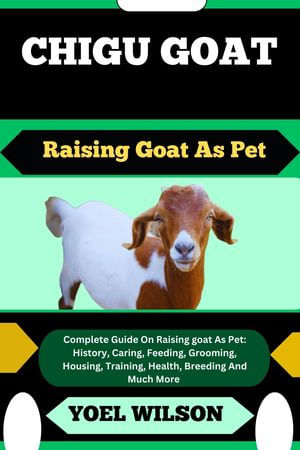 CHIGU GOAT Raising Goat As Pet - Librerías Gandhi