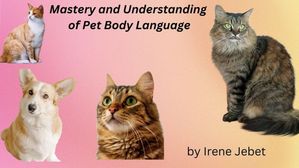 Mastery and Understanding of Pet Body Language - Librerías Gandhi